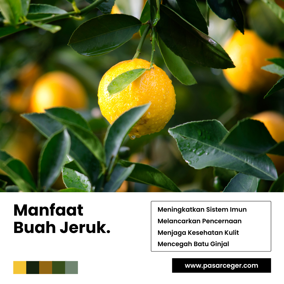 MANFAAT BUAH JERUK - Pasar Ceger
