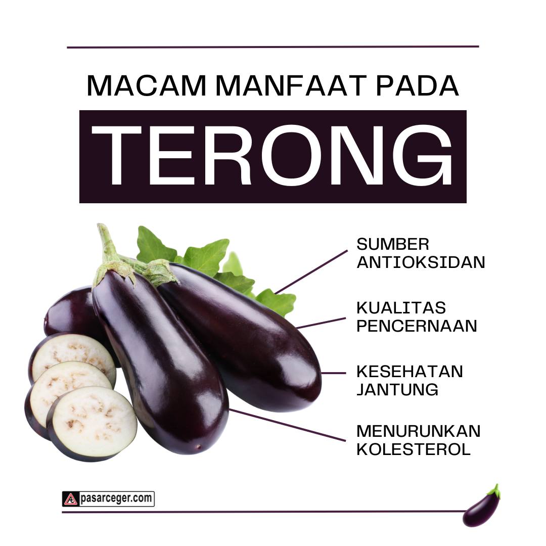 MACAM MANFAAT PADA TERONG - Pasar Ceger